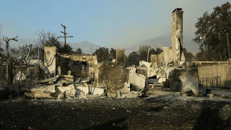 12,000 structures destroyed, 11 dead, thousands displaced in ...