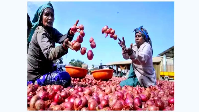 India extends curbs on onion exports - Views Bangladesh