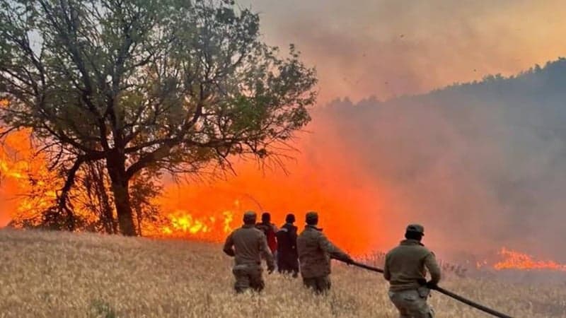 10 firefighters, rescue workers die battling wildfires in Turkey