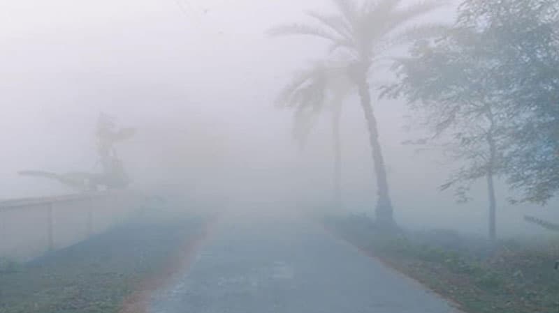 Mild cold wave sweeping over Bangladesh - Views Bangladesh