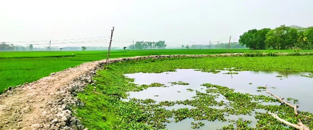 Save the Khariya River - Views Bangladesh